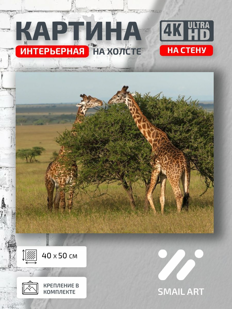 Картина на холсте интерьерная 40 на 50 на стену Дерева Animal для детской animal style