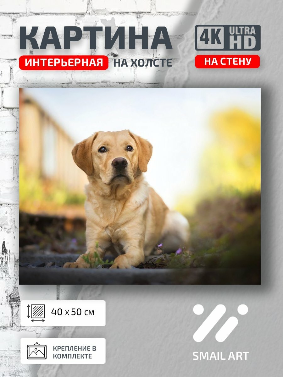 Картина на холсте интерьерная 40 на 50 на стену Лежит Mood для гостиной атмосфера интерьер