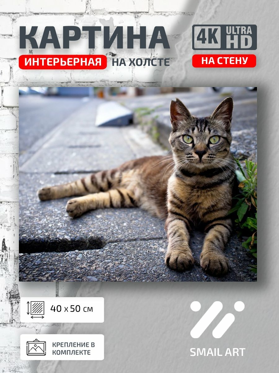 Картина на холсте интерьерная 40 на 50 на стену Асфальте Animal для детской animal style