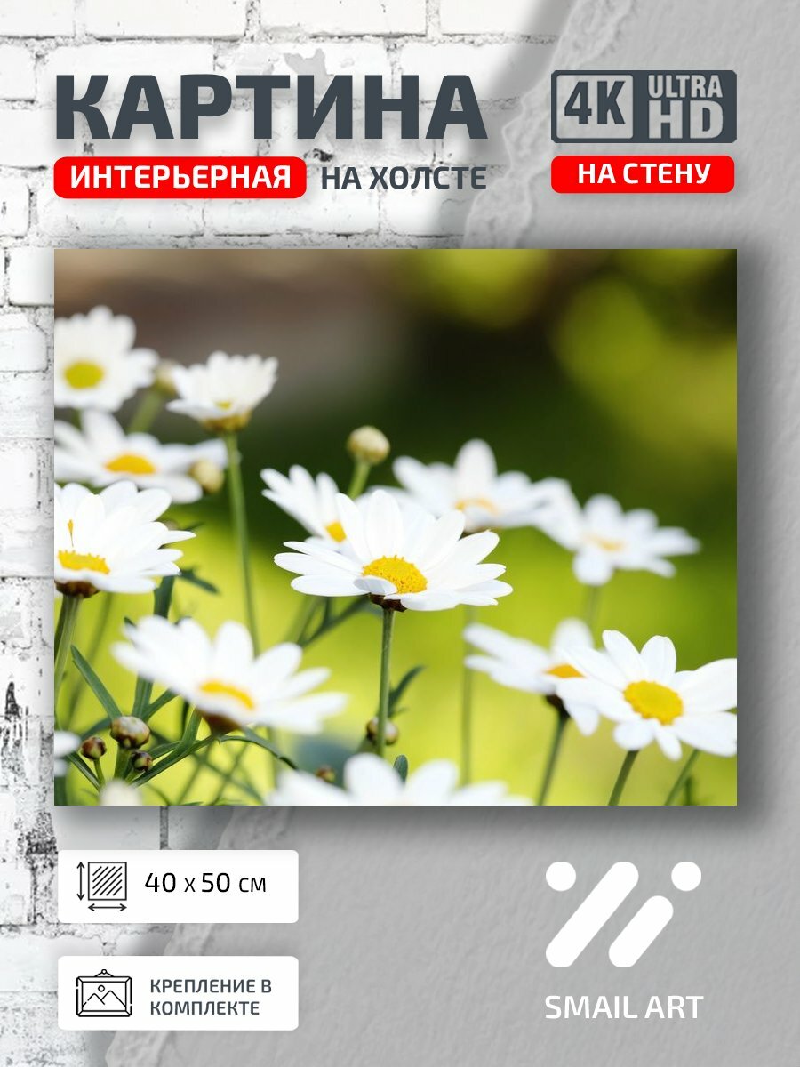 Картина на холсте интерьерная 40 на 50 на стену Ромашки Landscape для офиса пейзаж интерьер