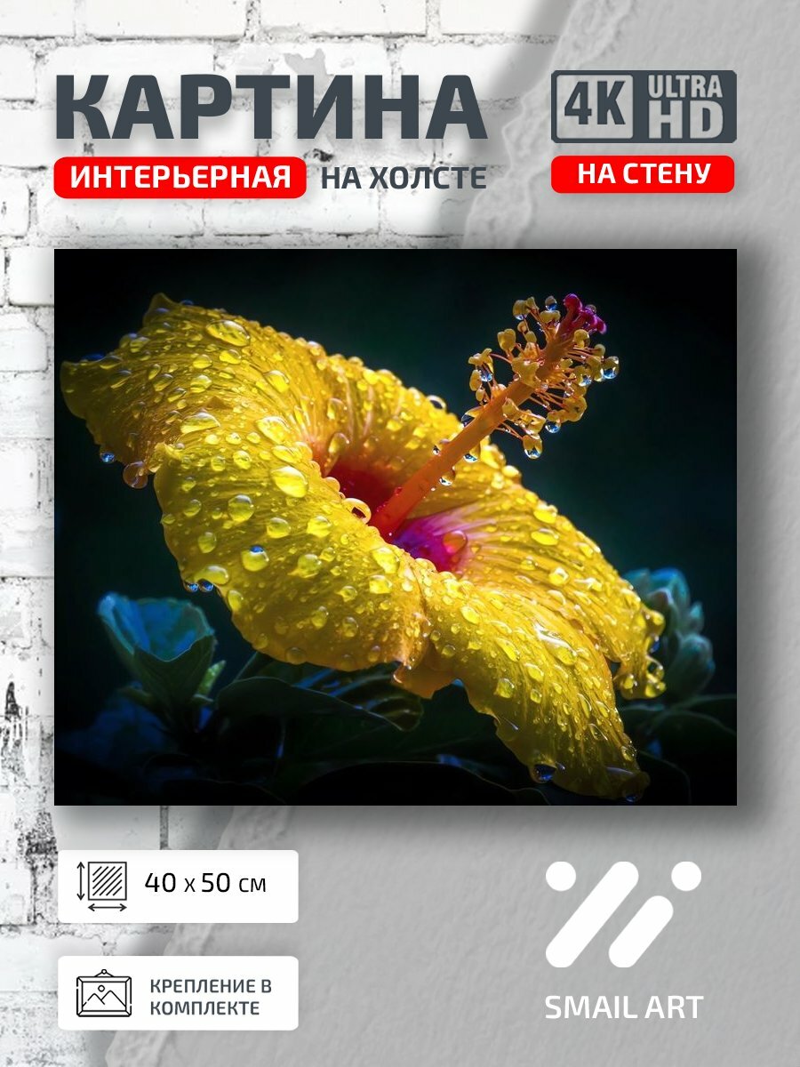 Картина на холсте интерьерная 40 на 50 на стену Капли Macro для студии макро интерьер декор