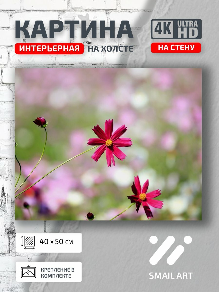 Картина на холсте интерьерная 40 на 50 на стену Лепестки Landscape для офиса пейзаж декор