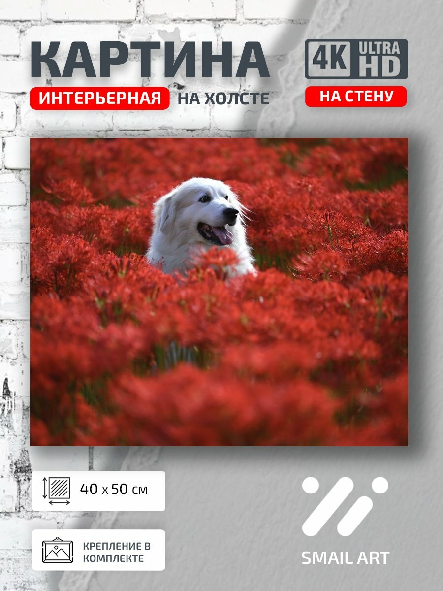 Картина на холсте интерьерная 40 на 50 на стену Поляна Mood для студии атмосфера интерьер