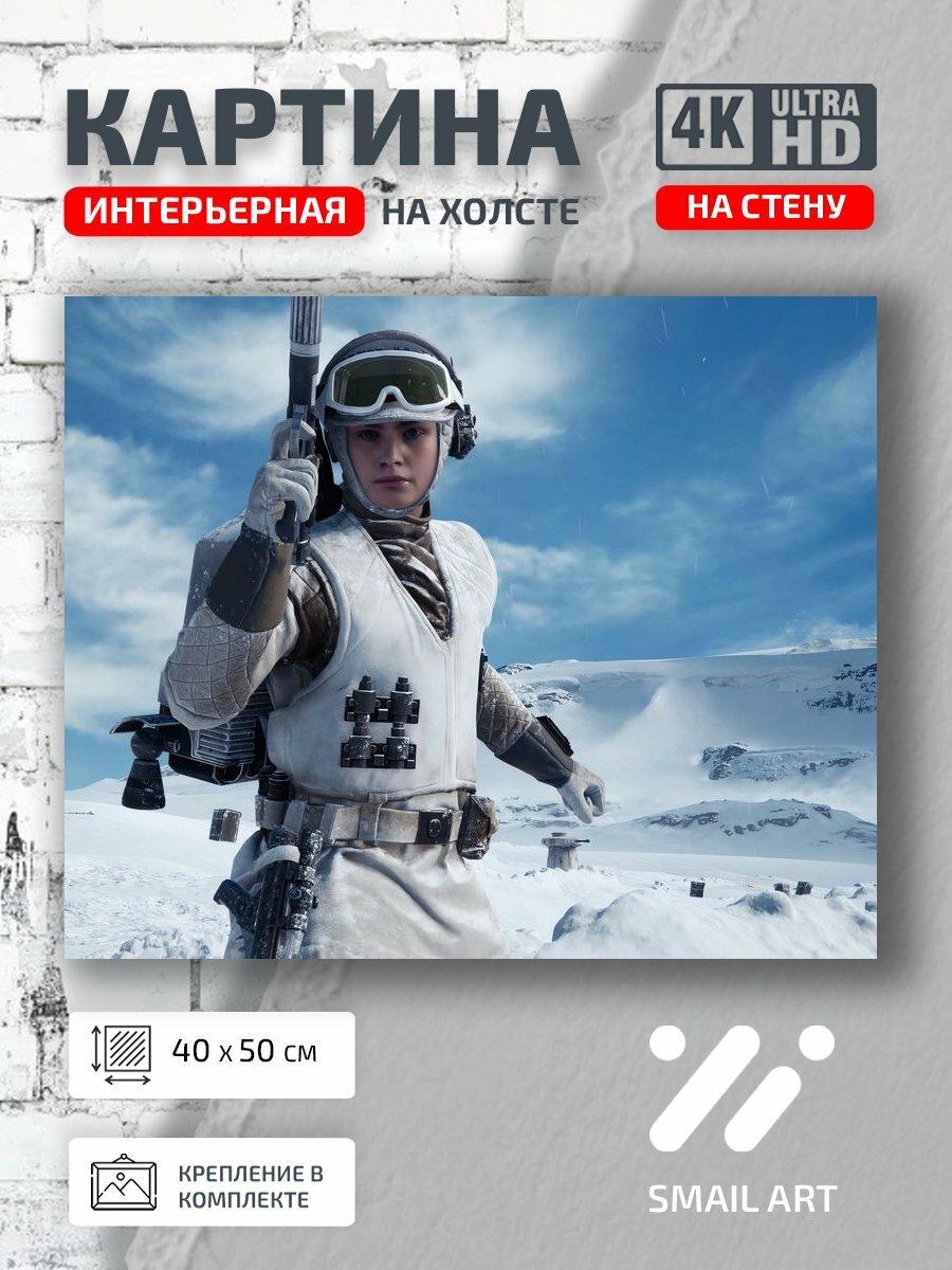 Картина на холсте интерьерная 40 на 50 на стену Игра battlefront для спальни атмосфера