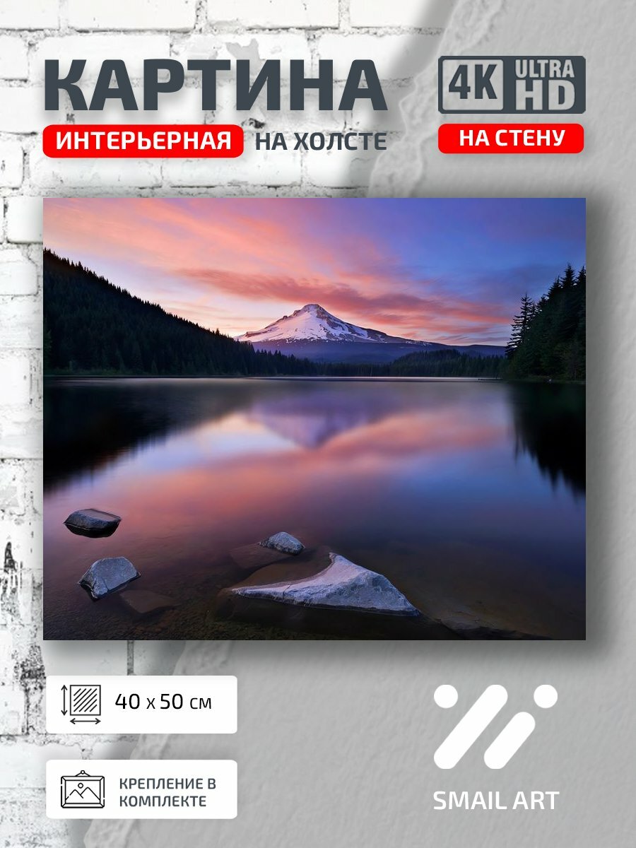 Картина на холсте интерьерная 40 на 50 на стену Деревья Landscape для кабинета пейзаж декор