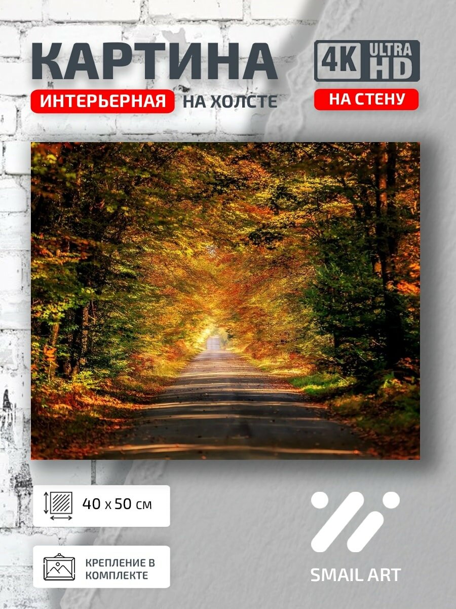 Картина на холсте интерьерная 40 на 50 на стену осень дорога для офиса пейзаж