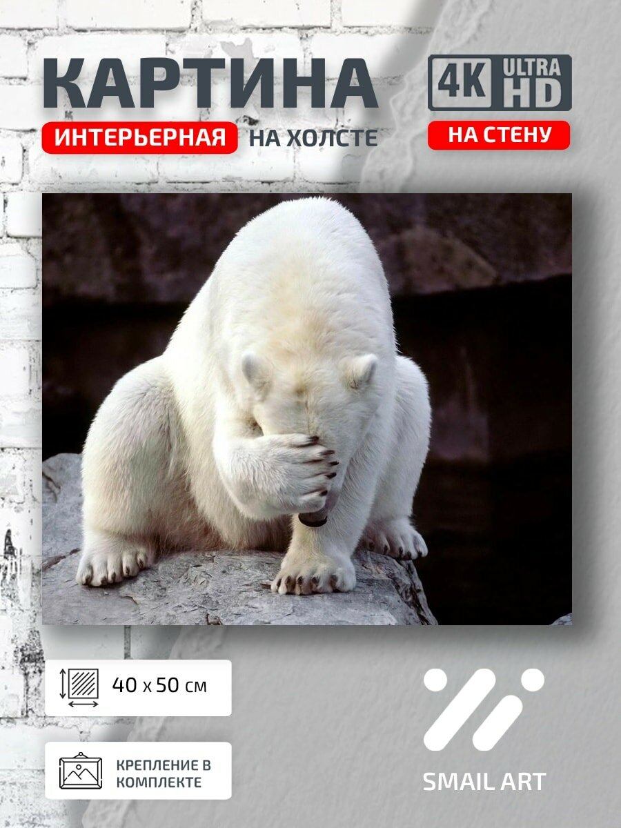 Картина на холсте интерьерная 40 на 50 на стену смотреть (медведь) для кабинета атмосфера