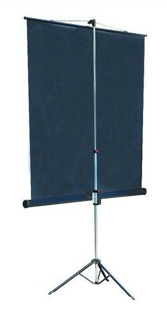 Экран на треноге Lumien 153x203см Master View LMV-100107 4:3 напольный рулонный