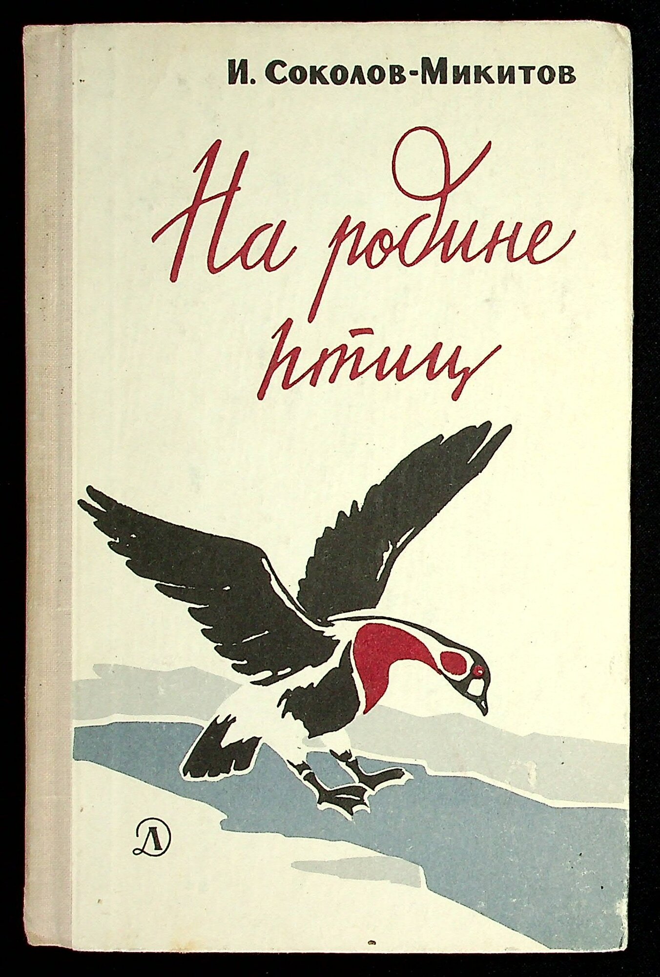 На родине птиц