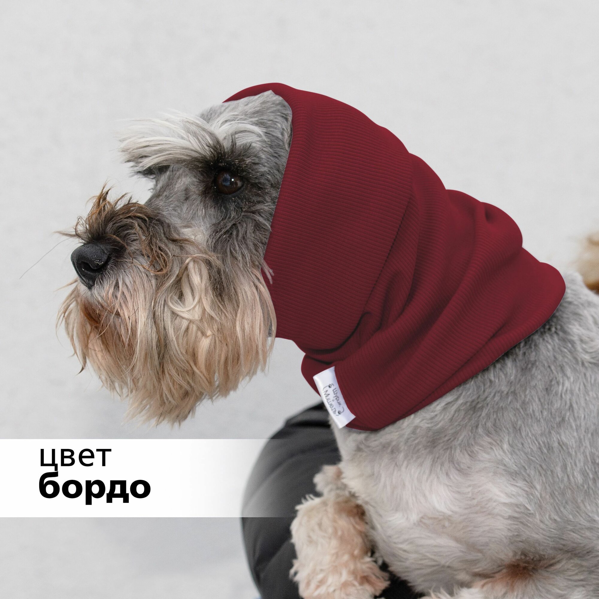 Шапка-снуд для собак и кошек