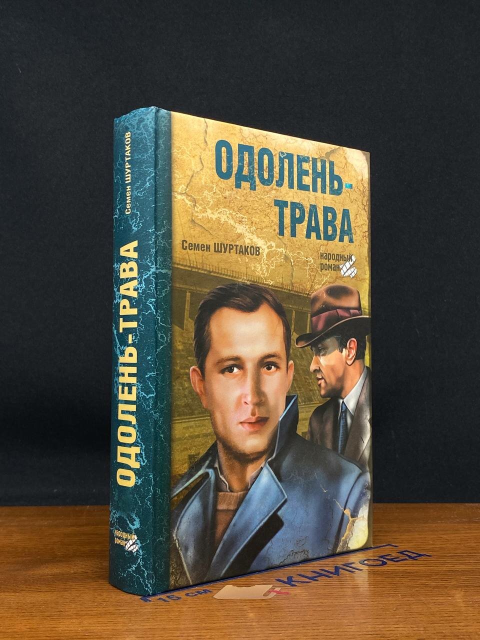 Книга. Одолень-трава 2013 (2042506482179)