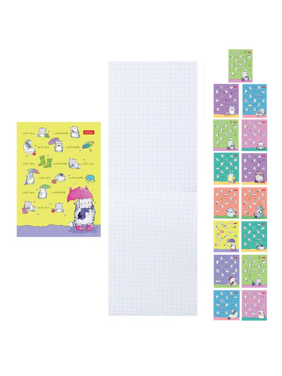 Блокнот в клетку