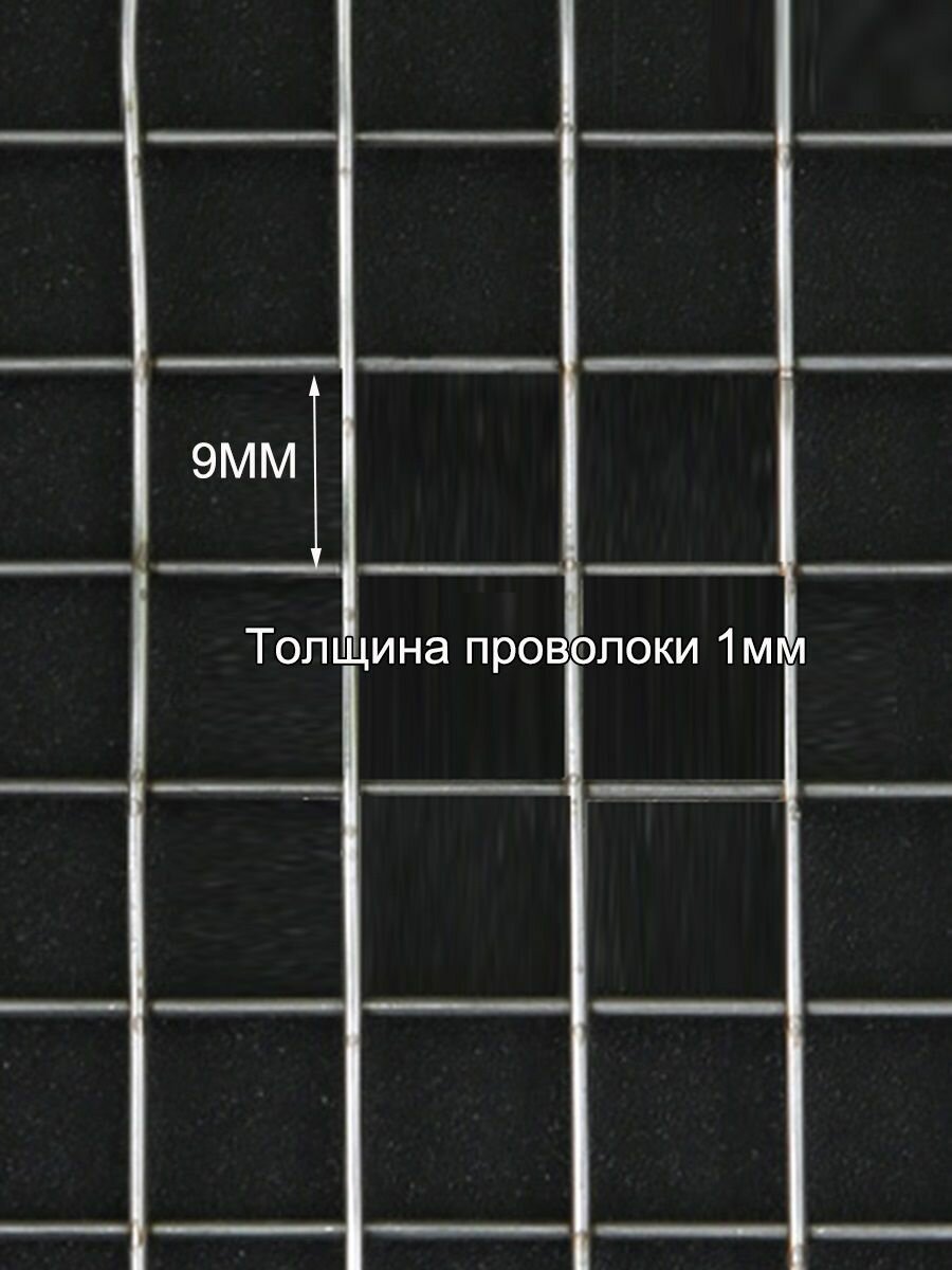 Колючая проволока — фото 1