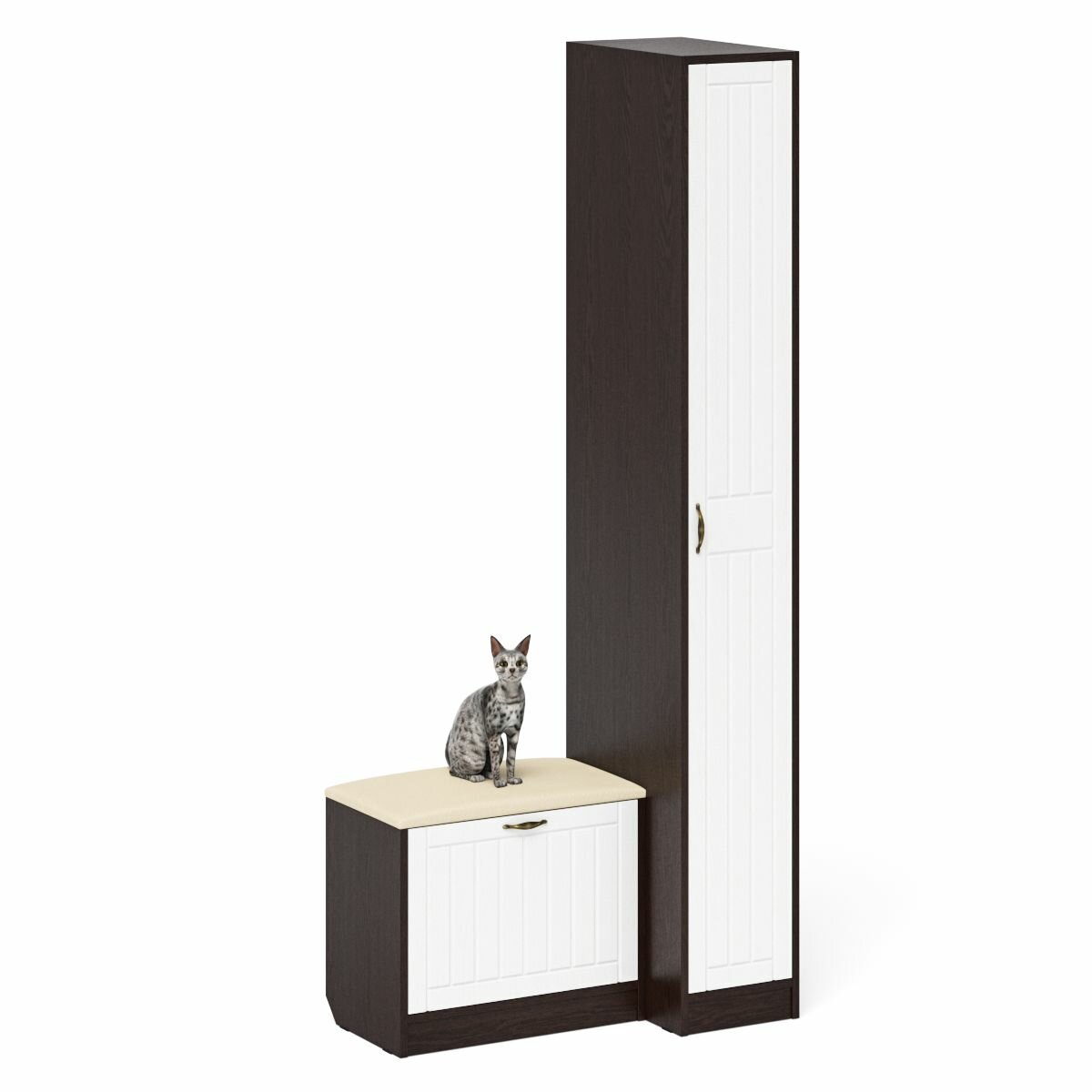 Прихожая Мебельный Двор П-6 Компоновка № 39 венге/белое дерево прованс, 90х50х210 см