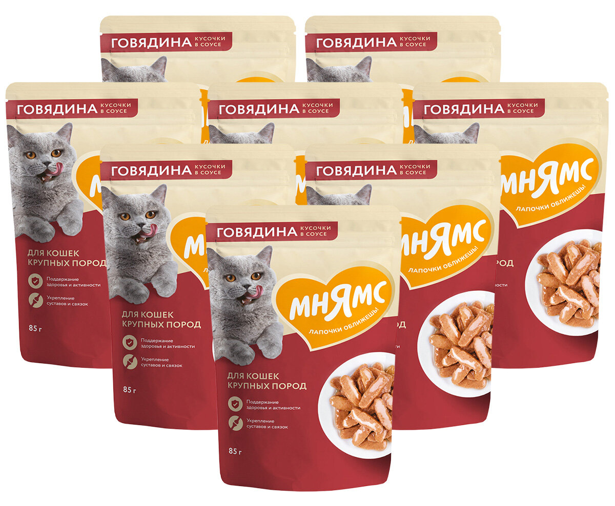 Влажный корм Мнямс для взрослых кошек крупных пород с говядиной в соусе пауч, 85 гр х 8 шт