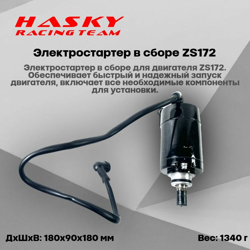 Электростартер в сборе ZS172
