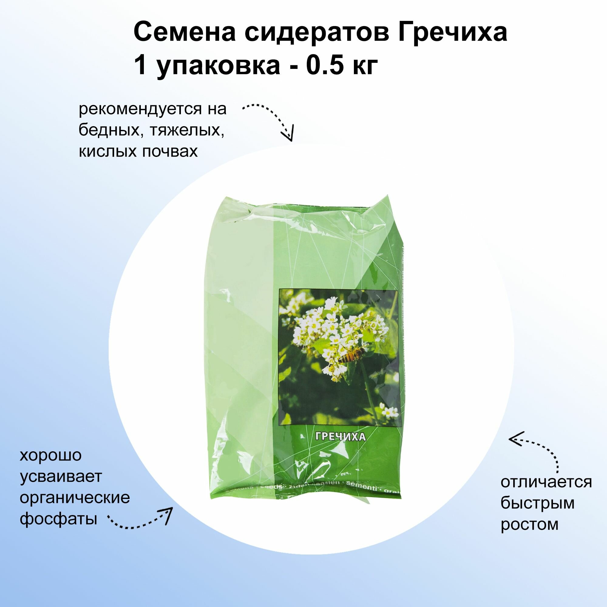 Высококачественные семена гречихи 0,5 кг для обогащения почвы. Особенно рекомендуется для бедных, тяжелых и кислых почв.