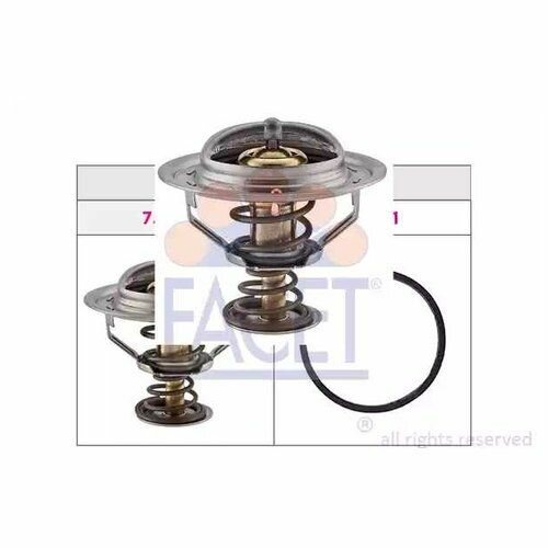 Термостат, масляное охлаждение Facet 78379S