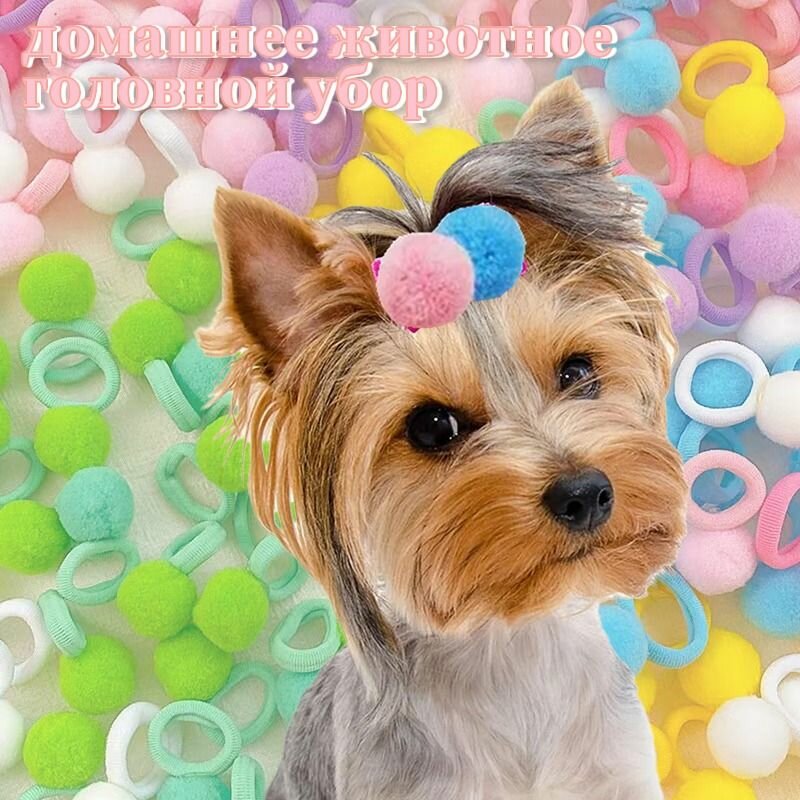 Украшение из резинок "Бант Йорки" для маленьких собак (набор из 50 штук)