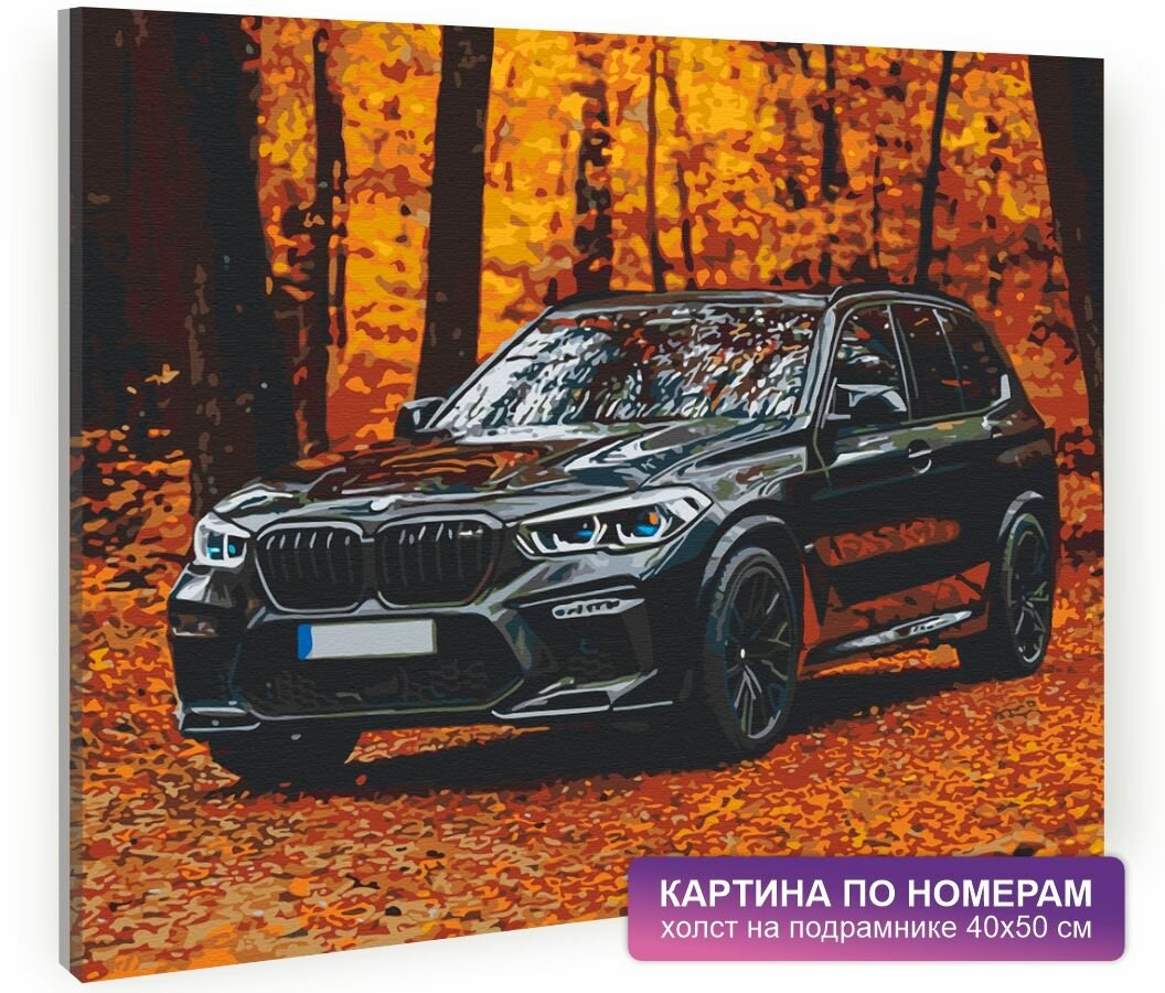 Картина по номерам на холсте с подрамником 40х50 см. Автомобиль, машина. "БМВ BMW X5", арт. 5565/