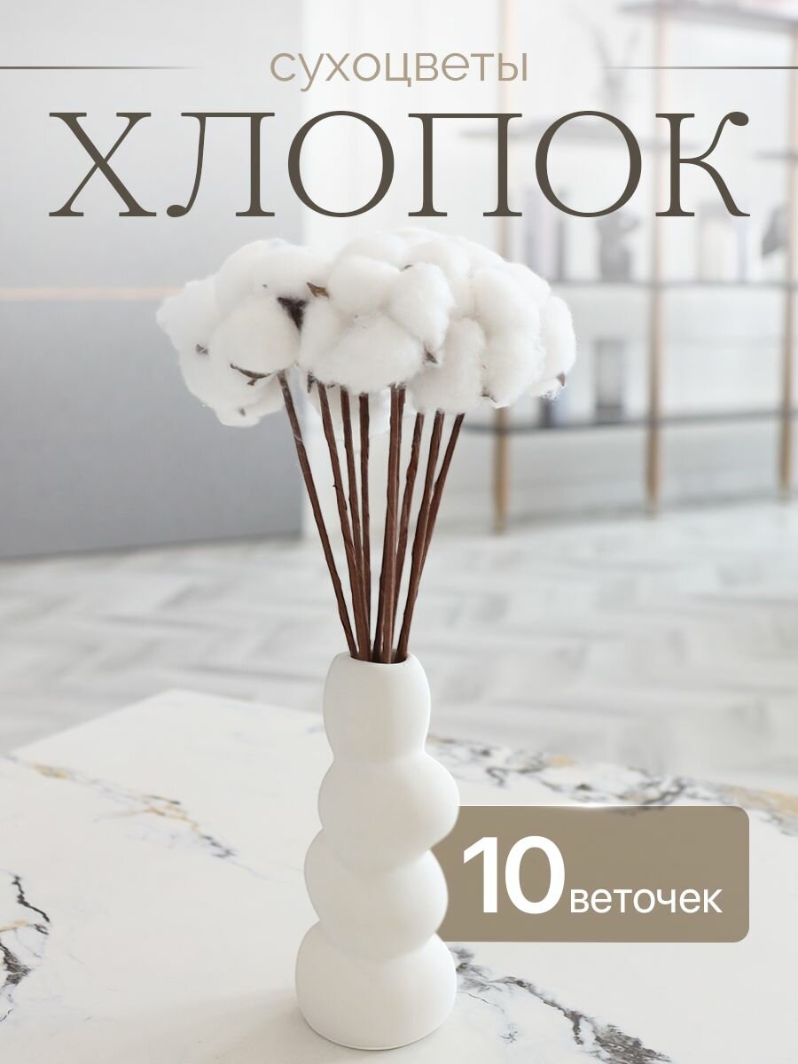 Хлопок Сухоцвет Белый 10 веточек, 35 см / Для декора и интерьера