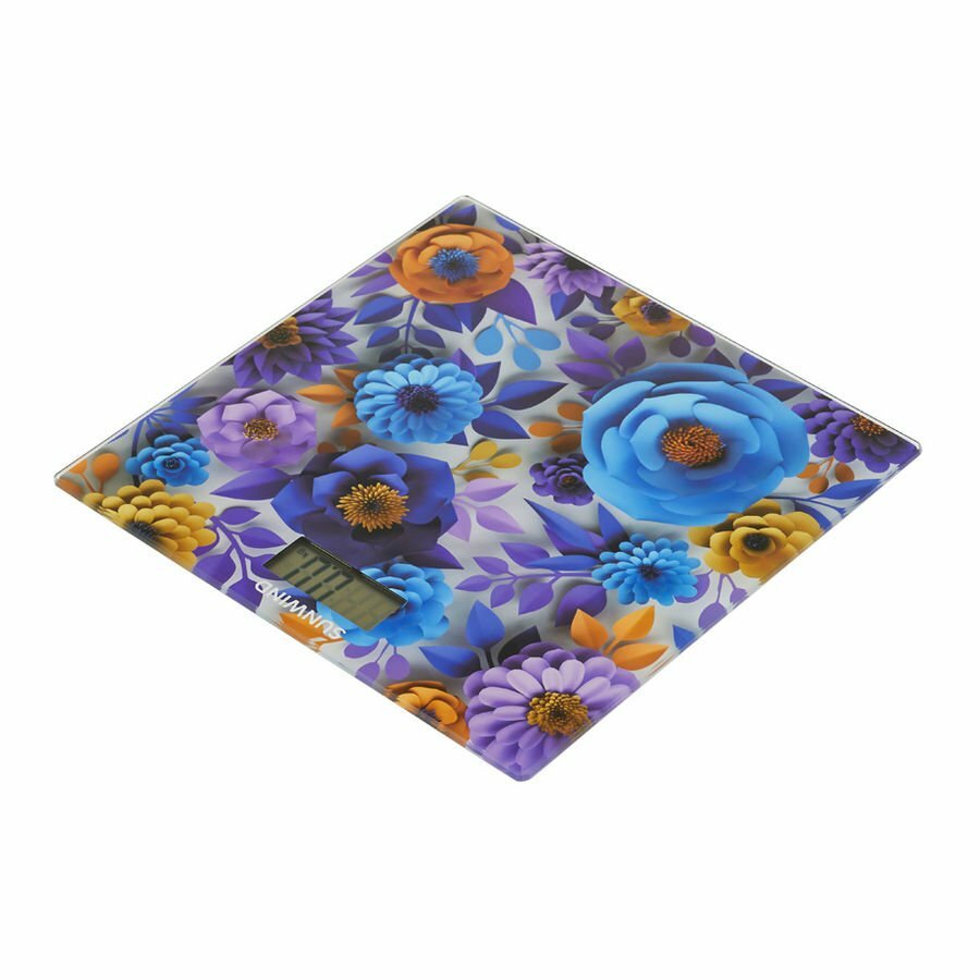 Напольные весы SUNWIND SSB051