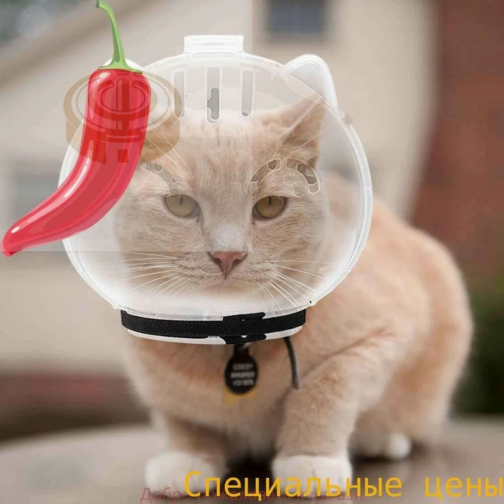 Дышащий намордник для кошки + прозрачный пластиковый шар-купол на голову, защита от укусов, груминг-шлем