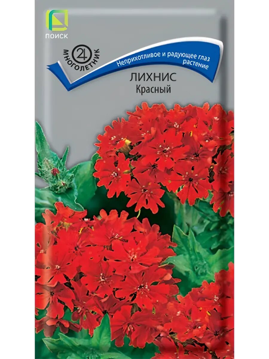 Семена многолетних цветов Лихнис красный - неприхотливый , зимостойкий. Поиск.