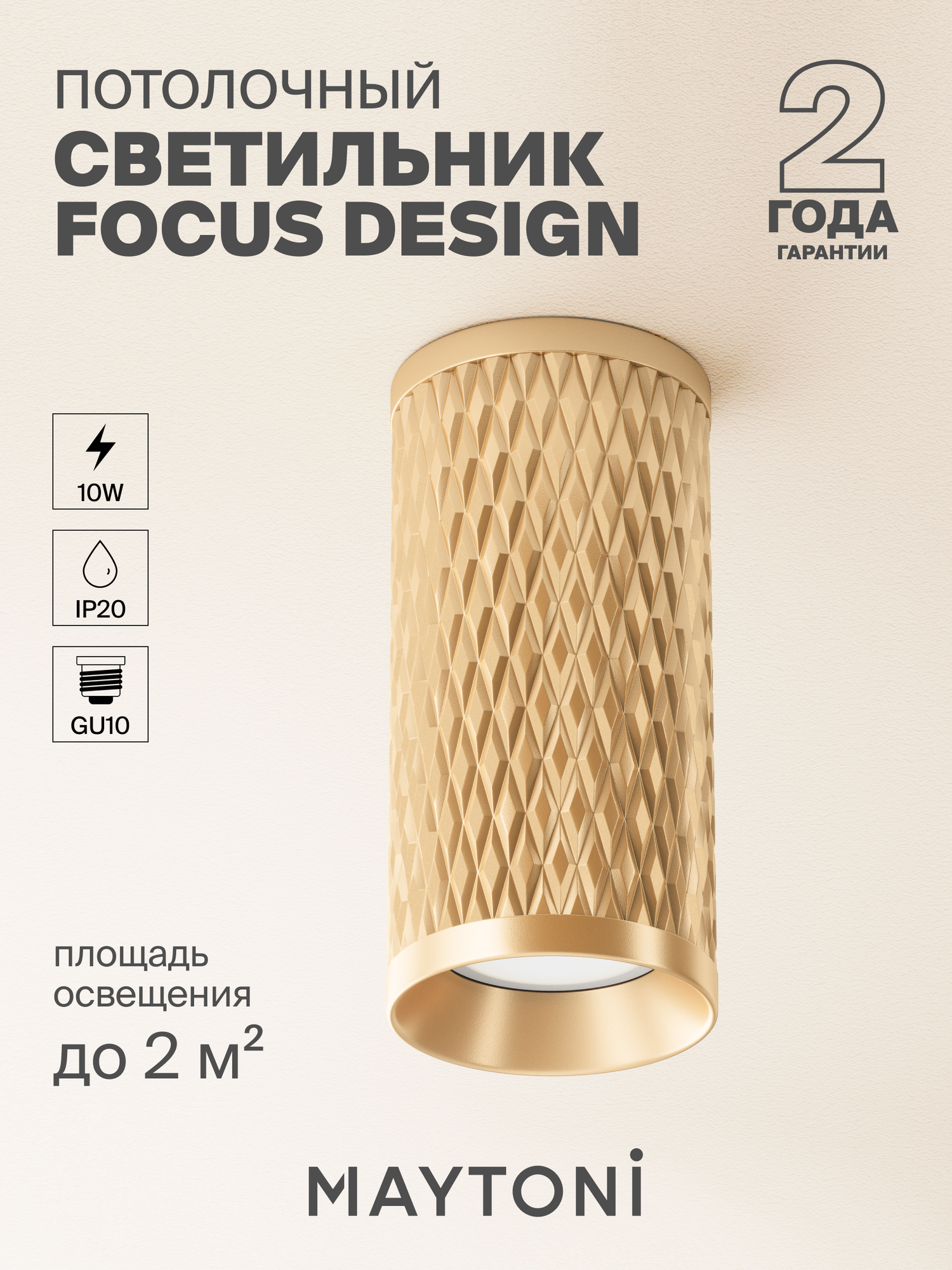 Светильник потолочный накладной Maytoni Technical Focus Design C036CL-01G