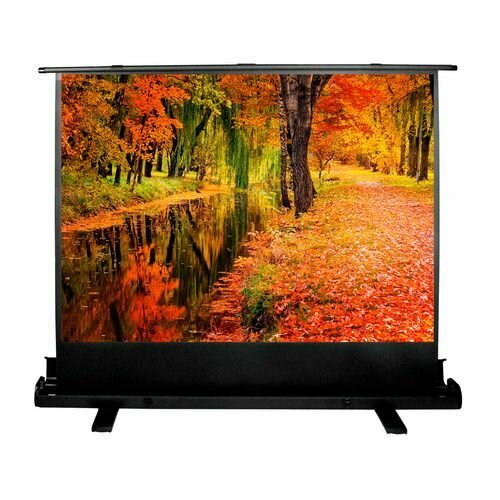 Экран Cactus FloorExpert CS-PSFLE-200X150, 200х150 см, 4:3, напольный
