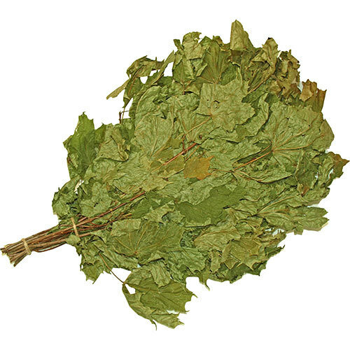 Веник кленовый Суши Веник, для бани, урожай 2025