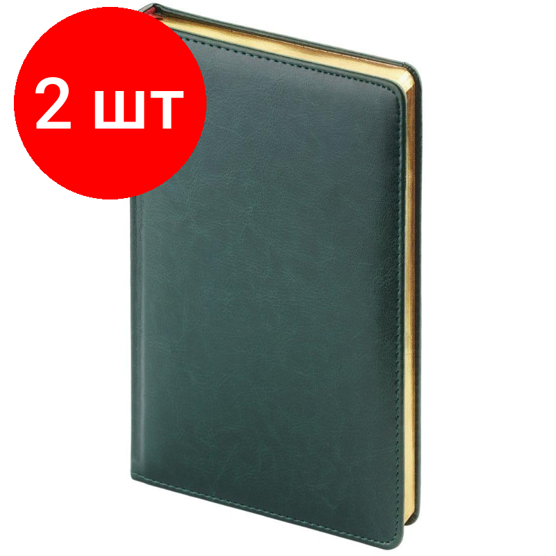 Комплект 2 штук, Ежедневник недатированный А4 210 х 302мм Sidney Nebraska 272 стр.3-539/05