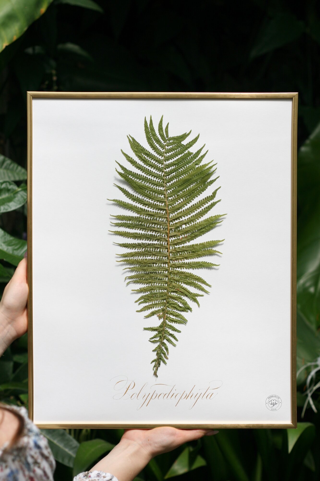 Панно с настоящим засущенным папоротником в раме 40*50. Картина в интерьер. Ручная работа