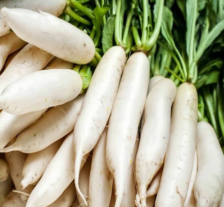 Семена Дайкон Два самурая