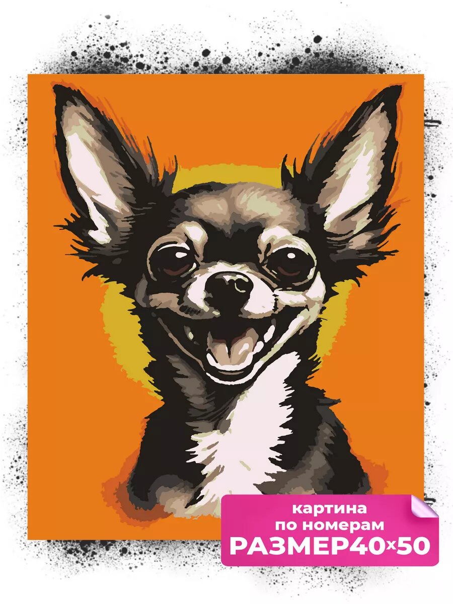 Картина по номерам Чихуахуа 40х50 см