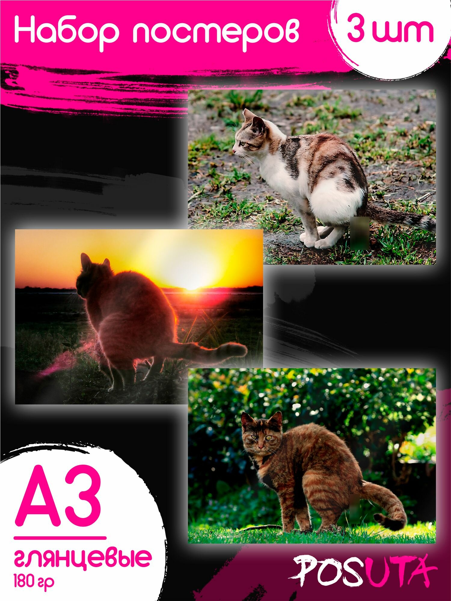 Постеры на стену Какающие коты