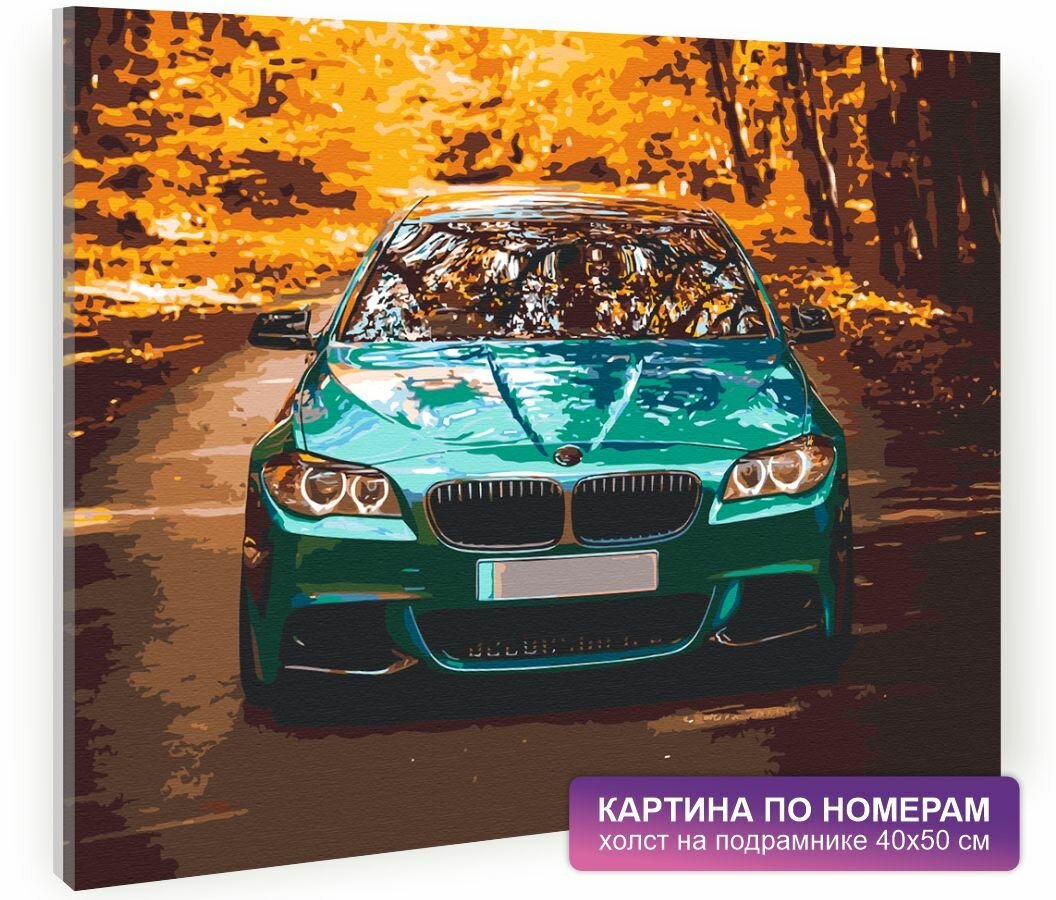 Картина по номерам на холсте с подрамником 40х50 см. Автомобиль, машина. "БМВ, BMW F10", арт. 5401/
