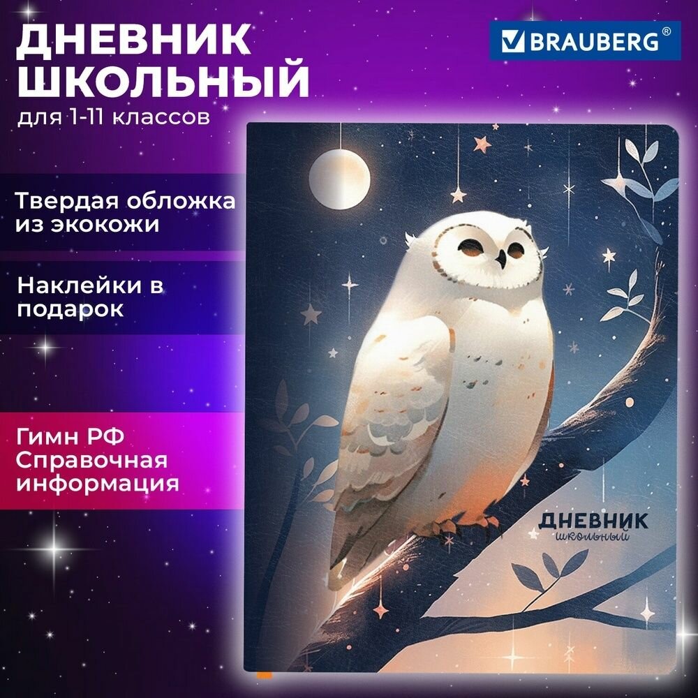 Дневник школьный Brauberg 1-11 класс, 48 листов, твердая обложка, "Сова"