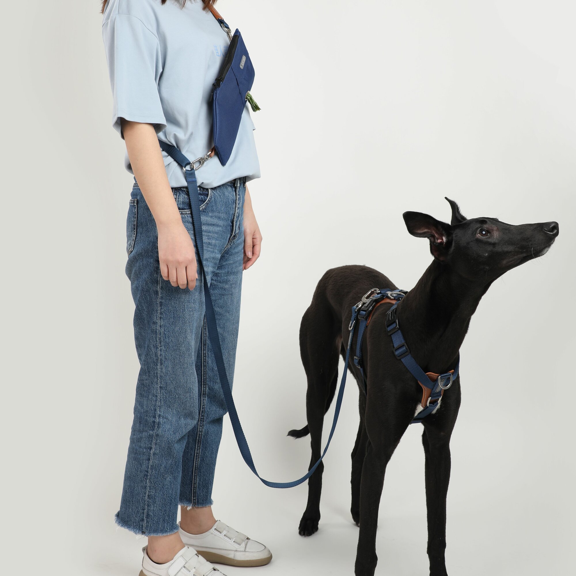 Собакин шлейка HiDREAM PET Кожа-.-3