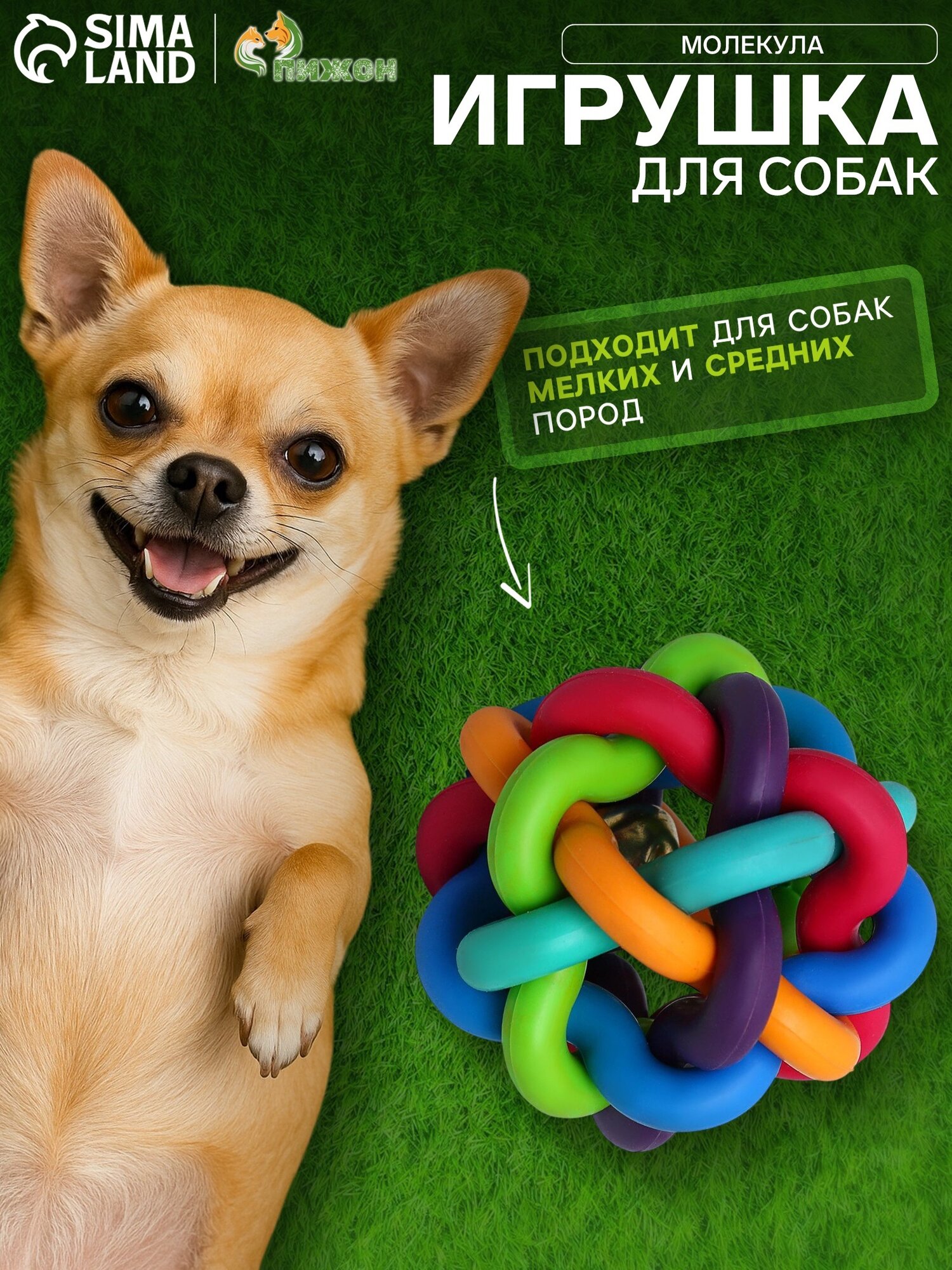 Мяч Пижон "Молекула", с бубенчиком, для собак и кошек, 6см, разноцветный