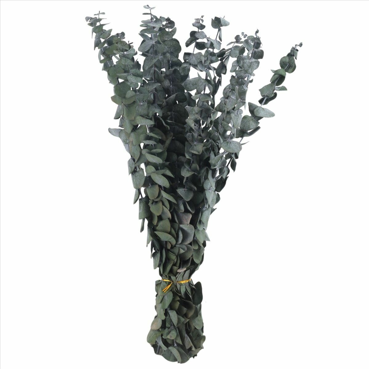 16 шт. сушеных веток эвкалипта для наполнения ваз