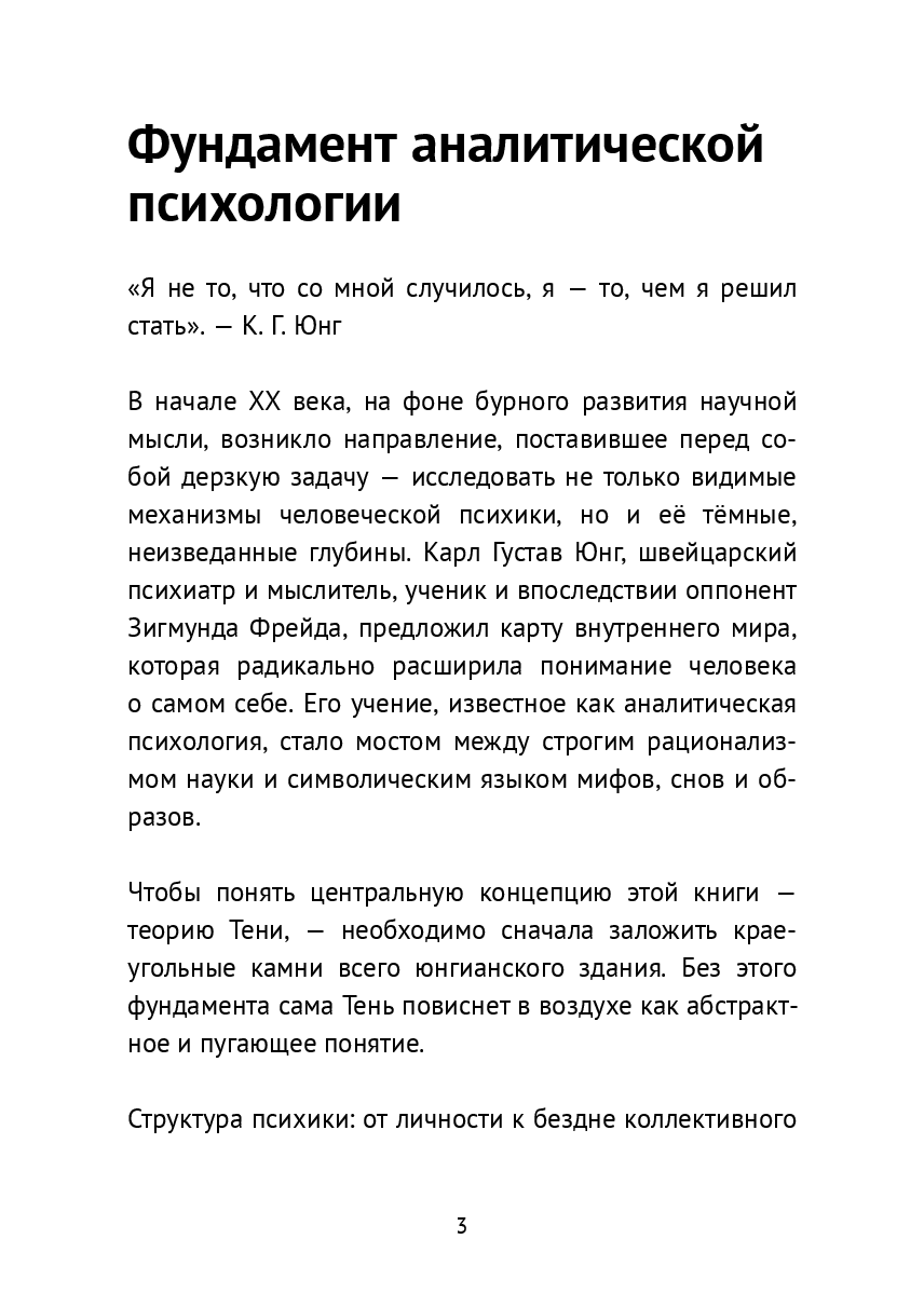 Встреча с тенью — фото 1