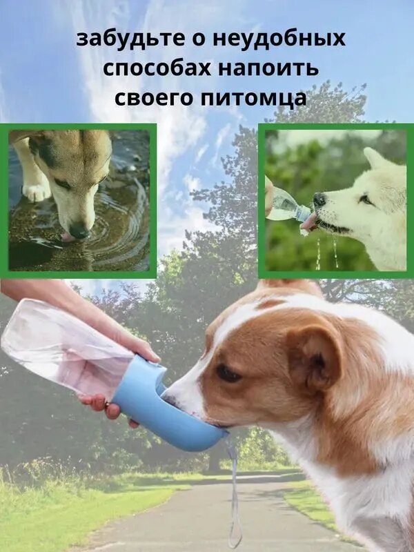 Поилка для животных