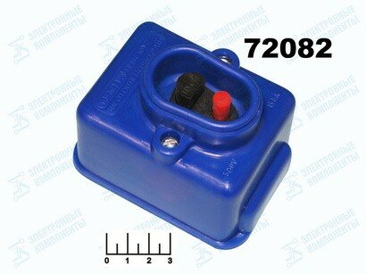 Кнопка с пусковым контактом 6.3A пнвс 10У2