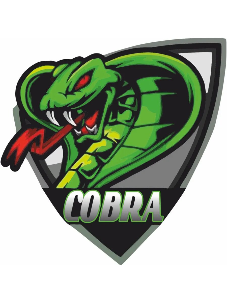 Наклейка "Голова змеи", 150х150мм, вид 8, Арт рэйсинг