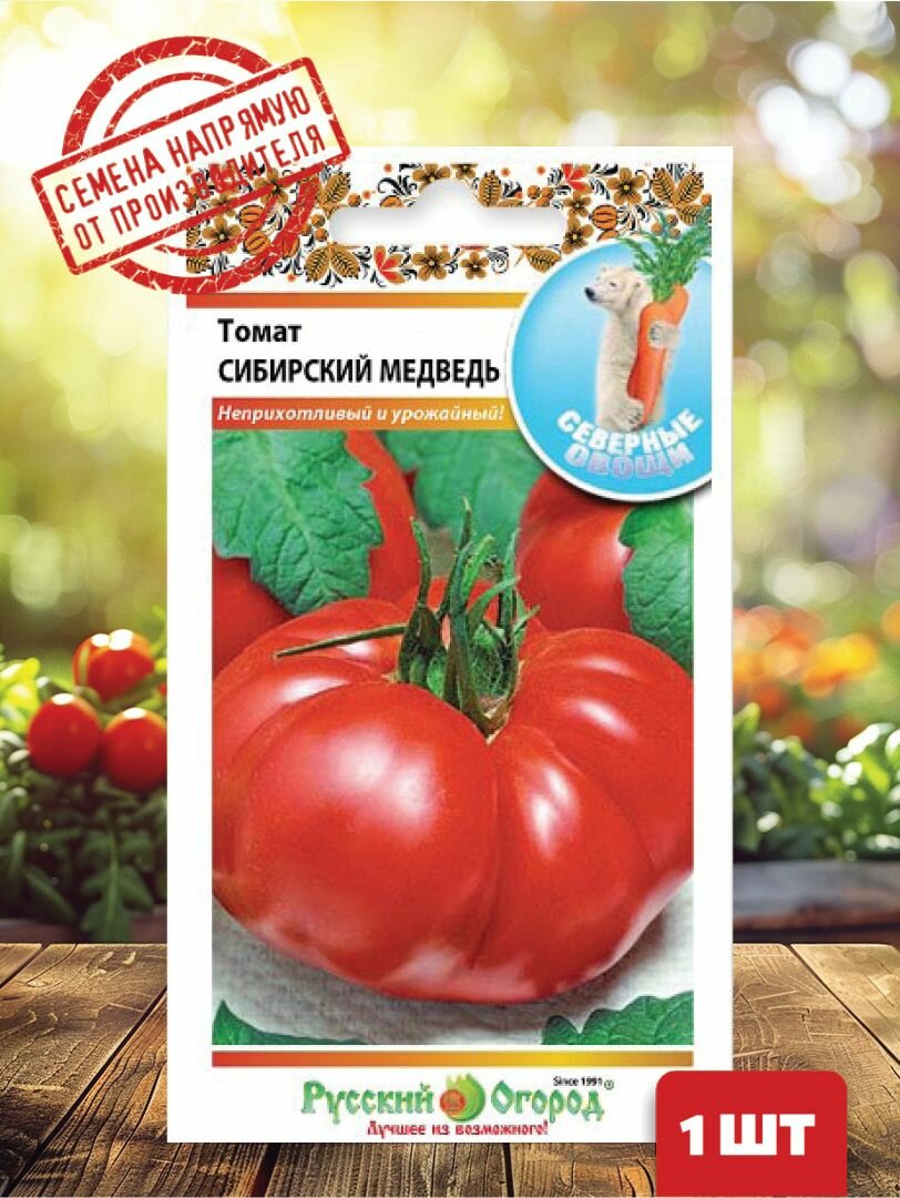 Томат Сибирский медведь