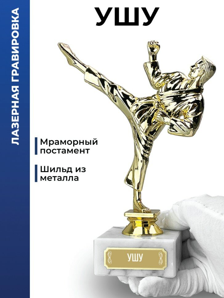 Статуэтка Карате "Ушу" (19,5 см)