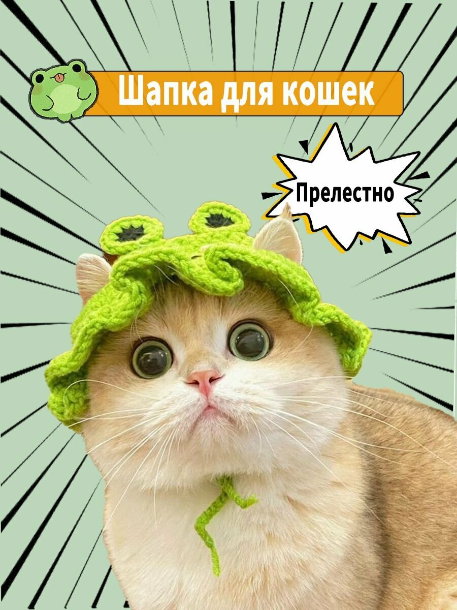 Шапка для кошек и собак с отверстиями для ушей - костюмированный головной убор (Лягушка)