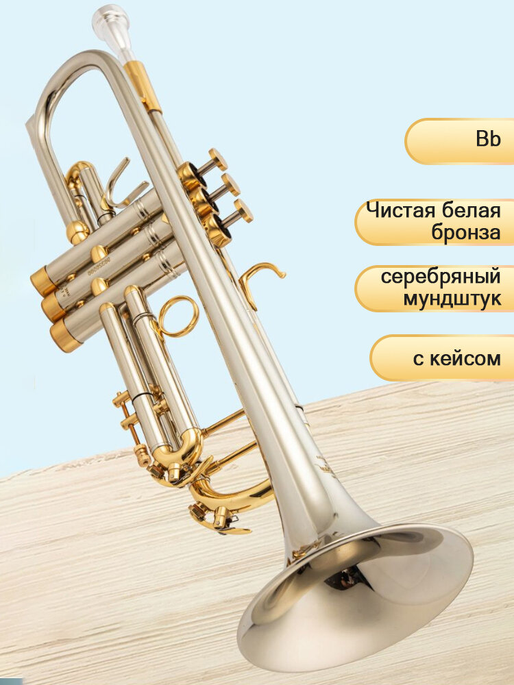 Трубы Bach LT199GS-99 с корпусом из чистой белой бронзы и серебряным мундштуком