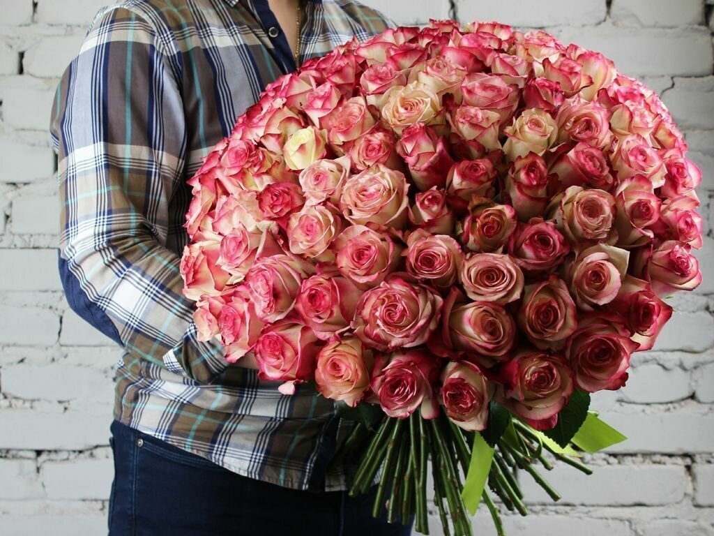 Букет 101 роза Палома 50 см. Эквадор